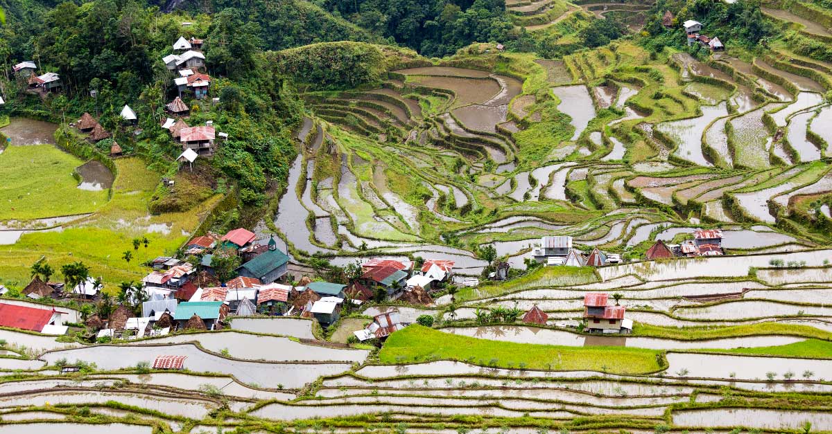 Banaue - circuits, ballade et visite des rizières en terrasses de Banaue